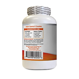 cat Hip and Joint Supplements - Pets Joint Support with Turmeric and MSM - Dogs and Cats - Premium Complex - cat glucosamine chondroitin - 1 Bottle (60 Tablets)