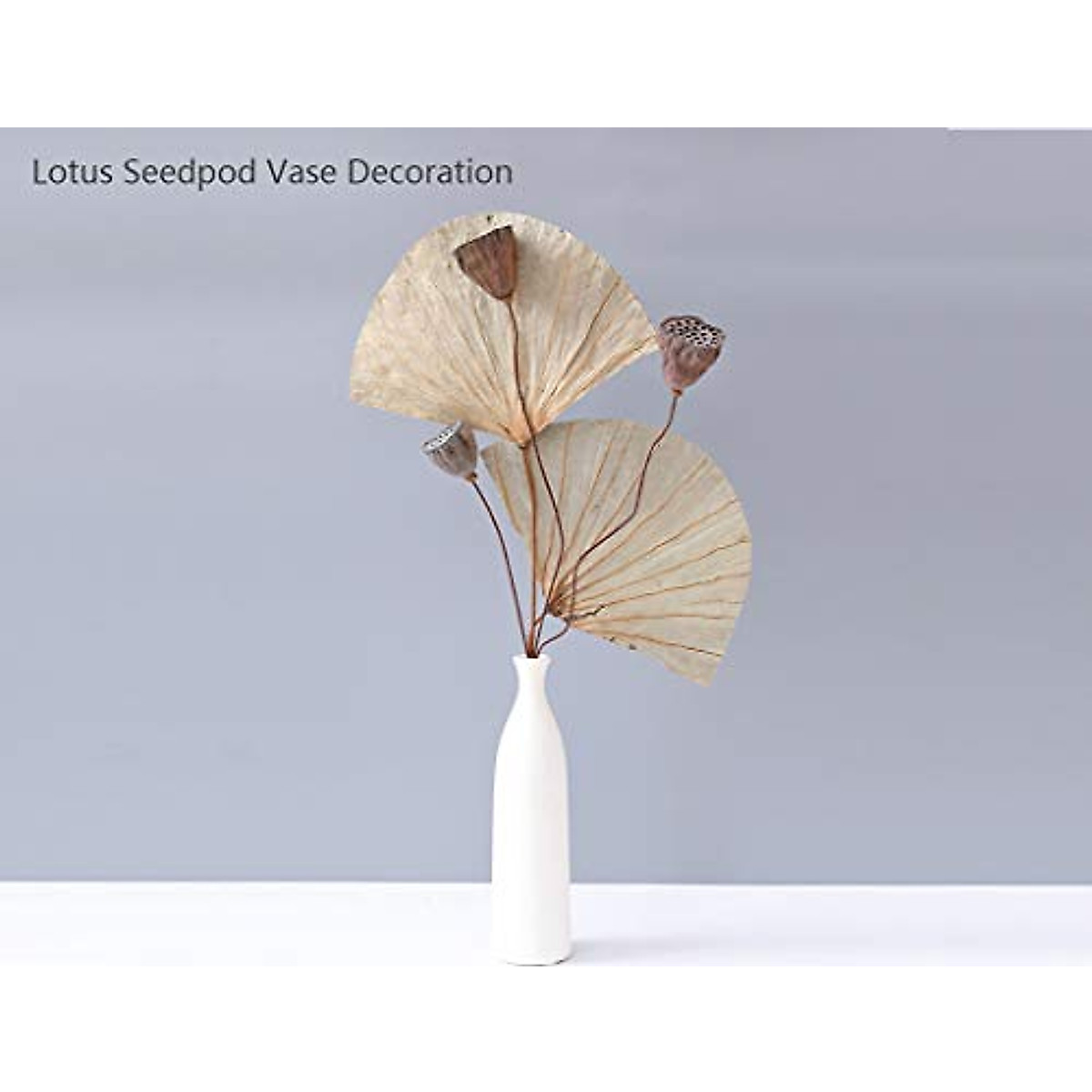 Lotus Flower Seeds for Home Planting Ornamental, Mixed Pink & Red Flower, Can Purify Water and Air, Aquatic Plant for Courtyard, Hotel, Goldfish Pond, Water Lily Seeds