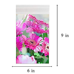 Clear Resealable Display Cellophane Bags Gift Treat Basket Supplies, Adhesive Closure for Snacks, Cards, Envelope Letters, Candy, Party Supplies (100 Bags) by Super Z Outlet (6" x 9")