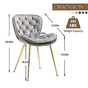 KINFFICT Modern Velvet Dining Chairs Set of 2, Upholstered Kitchen Chair, Mid Century Dinner Chair with Golden Metal Ring, Comfy Accent Chair for Dining Room, Living Room, Vanity Room, Grey