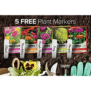 Zinnia Seeds for Planting Outdoors Flower Seeds (5 Variety Pack) Thumbelina, Lilliput, Envy, Purple Prince and Pompon Varieties for Butterflies, Bees, Pollinators Wildflower Seed by Gardeners Basics