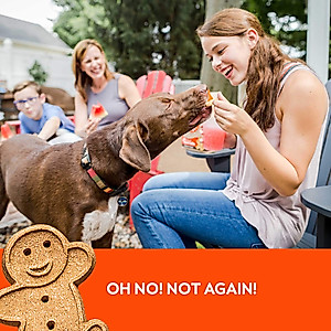 Buddy Biscuits Dog Treats, Oven Baked in USA, Teeny Size for Small Dogs or Large Dog Training, Peanut Butter 8 oz Package may vary (Pack of 1)