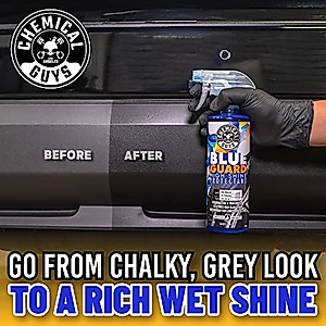 Chemical Guys TVD_103_16 Blue Guard II Wet Look Premium Sprayable High Gloss Shine Dressing and Conditioner for Rubber and Plastic Safe for Cars, Trucks, Motorcycles, RVs & More, 16 fl oz