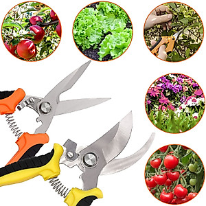 Taiss 2PCS Gardening Shears,Gardening Pruning Scissors,Straight Stainless Steel Blades/Curved Blade Garden Pruning Shears,gardening scissors trimming.