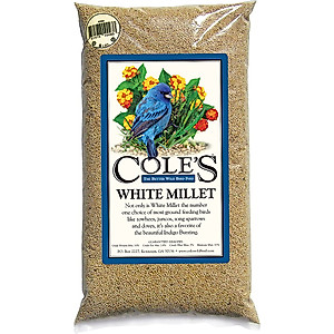 Cole's MI10 White Millet Bird Seed, 10-Pound