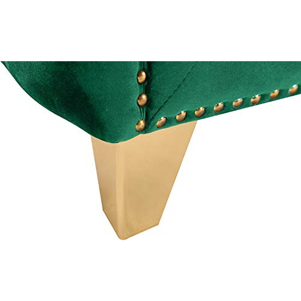 Meridian Furniture 652Green-L Michelle Collection Modern | Contemporary Loveseat with Deep Button Tufting, Nailhead Trim and Sturdy Gold Iron Legs, 66" W x 34" D x 30" H, Green