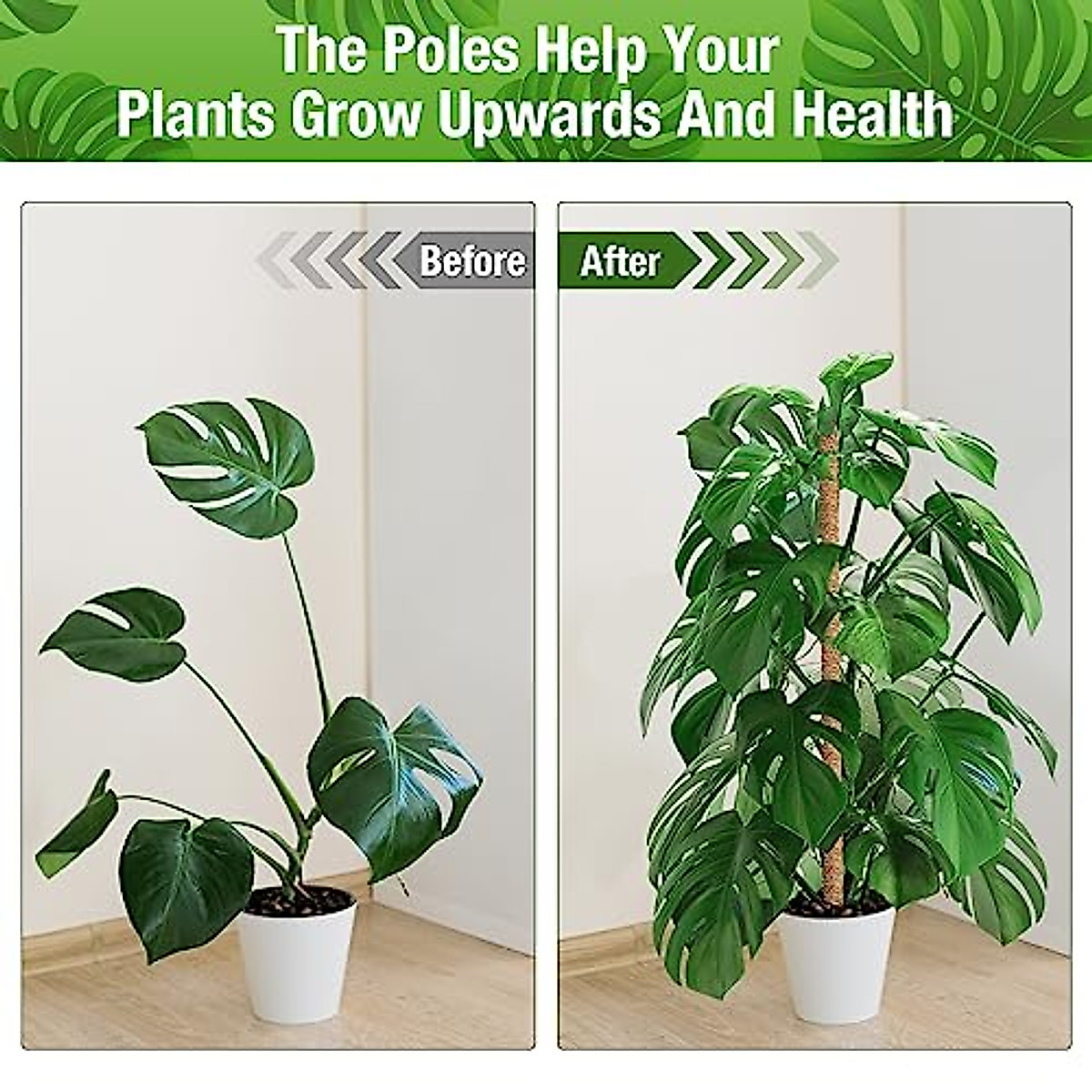 47 Inch Moss Pole for Plants Monstera, Bendable Plant Stakes for Climbing Plants, Monstera Moss Pole, Bendable Coco Coir Plant Support, Plant Sticks Support for Indoor Plants (1 Pack)