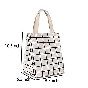 Fafish 2Pack Reusable Lunch Bag Insulated Lunch Box Large Waterproof Adult Lunch Tote Bag For Men or Women (White plaid and gray plaid)