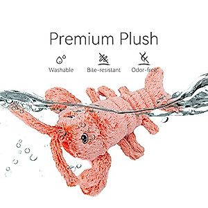 HIPIPET 2022 Ocean Series Cat Toys,Plush Flopping Lobster Cat Toy for Indoor Cats with Catnip Kitten Toys. (Lobster)