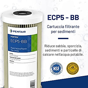 Pentair Pentek ECP5-BB Big Blue Sediment Water Filter, 10-Inch, Whole House Heavy Duty Pleated Cellulose Polyester Replacement Cartridge, 10" x 4.5", White End-Cap, 5 Micron, Pack of 8