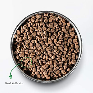 Open Farm Homestead Turkey & Chicken Grain-Free Dry Cat Food, Wild-Caught Fish Recipe with Non-GMO Superfoods and No Artificial Flavors or Preservatives, 4 lbs