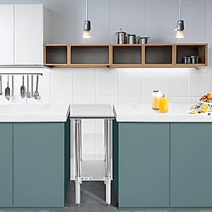 Hally Stainless Steel Table for Prep & Work 24 x 15 Inches, NSF Commercial Heavy Duty Table with Undershelf and Galvanized Legs for Restaurant, Home and Hotel