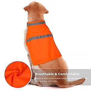 Dog Jacket High Visibility Safety Reflective Dog Vest for Small Medium Large Dogs (Large, Orange)