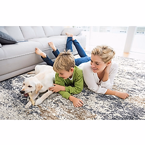 LOVORAL Area Rugs for Living Room: 5x7 Washable Neutral Abstract Rug for Bedroom Large Soft Modern Dining Room Rugs Indoor Floor Low Pile Carpet for Home Office Nursery - Blue Grey