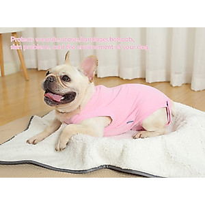 Caslfuca Dog Surgery Recovery Suit - After Spay, Abdominal Wounds Post Surgical Recovery, Anti Licking Breathable Dog Onesies for Small, Medium & Large Pet, Alternative Bandages Cone E-Collar