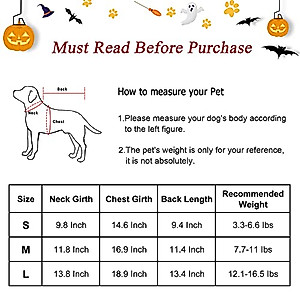 Yoption Dog Cat Witch Dress Costumes with Magic Hat, Pet Halloween Christmas Cosplay Hoodie Funny Outfits Clothes for Puppy Dogs (M)