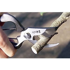 Soke Hidehisa Professional Garden Shears YP200 (Japan Import)