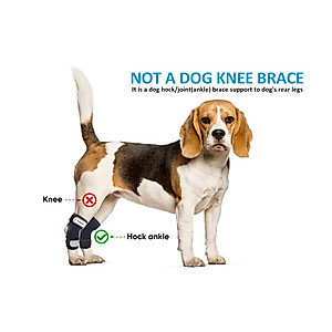 Dog Leg Braces for Rear Legs, Hock Brace for Back Legs with Metal Strips and Safety Reflective Straps for Short Legs, Joint Warps Support for Hind Legs Injuries Sprains Arthritis (XSmall)