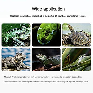 FILFEEL 50-100W Heat Lamps, Reptile Heat Bulb Infrared Ceramic Emitter Pet Heater Lamp Reptile Light Bulb (60W-#2)