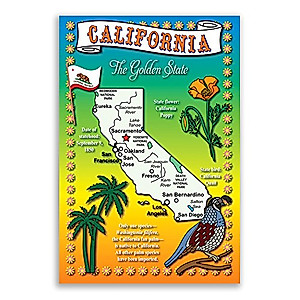 U.S. State Map Postcard Set. 50 modern post card variety pack. Illustrated postcards with maps of all fifty states of the United States of America. Made in USA.