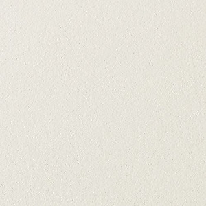 Watermark-free Resume Paper by Magnum Opus | 50 sheets | Exceptional ivory 28 lb 8.5x11 | Ideal stationery for professional/executive resumes letterhead and interviews