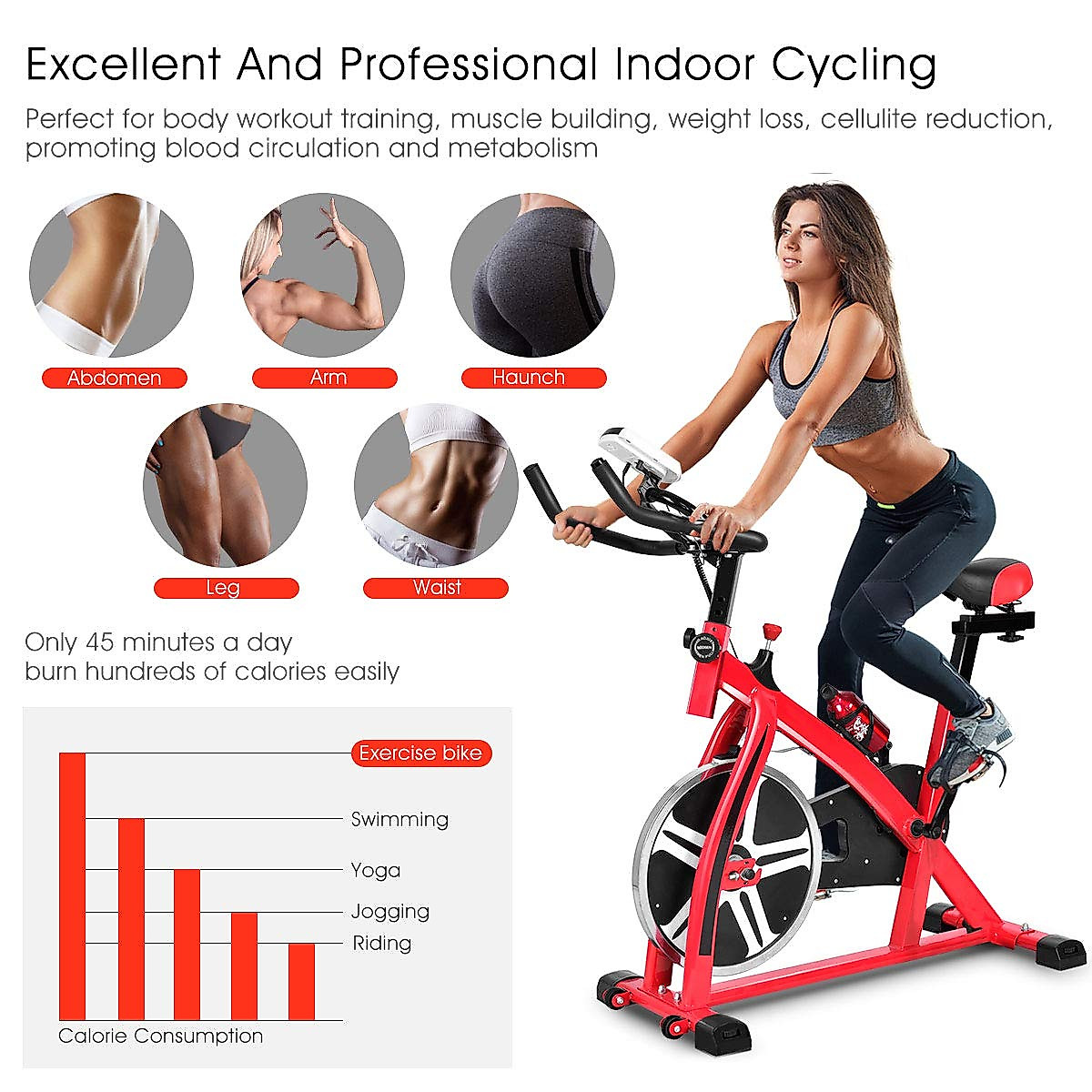 Goplus Indoor Cycling Bike, Stationary Bicycle Exercise Bike with Flywheel and LCD Display, Cardio Fitness Cycle Trainer Professional Exercise Bike for Home and Gym Use