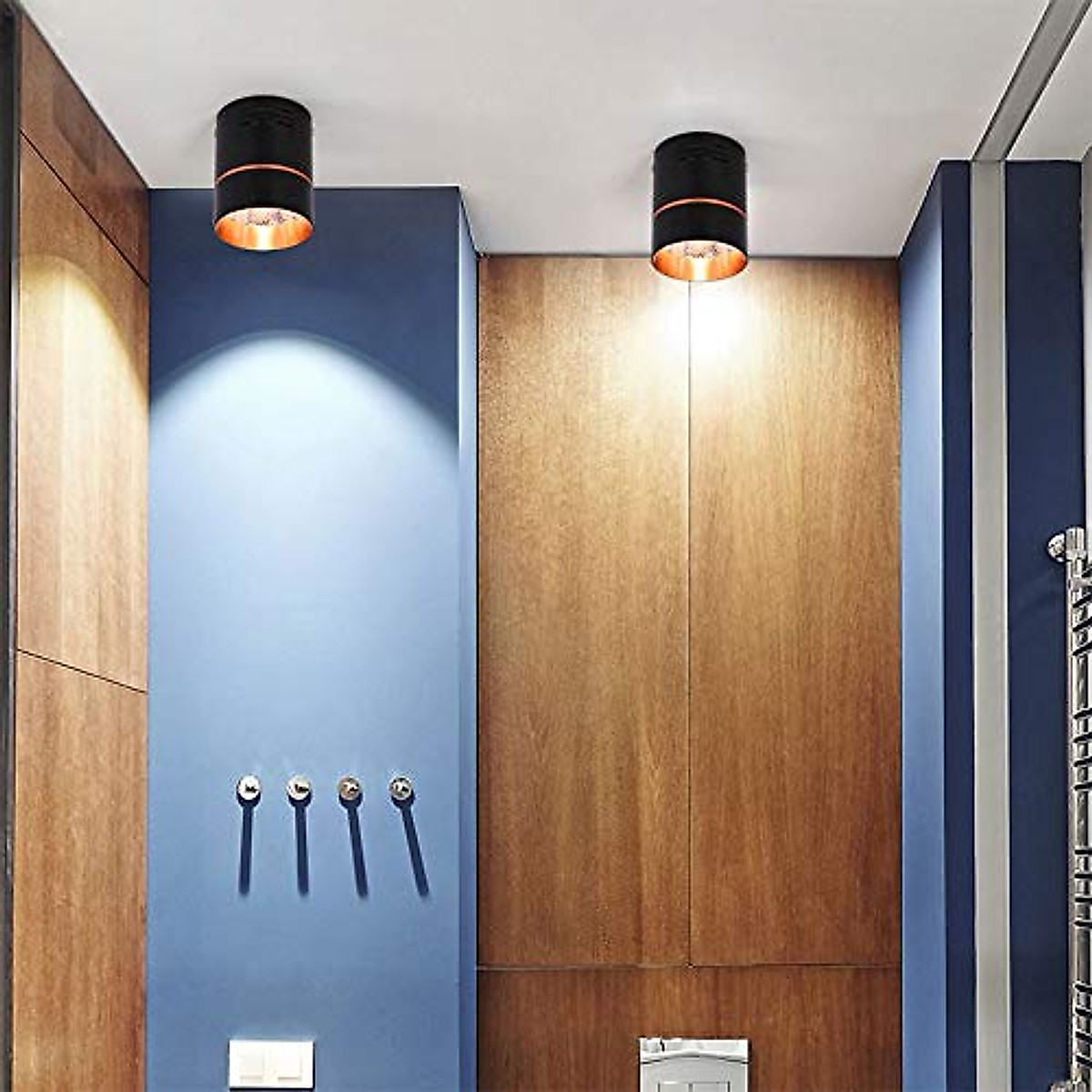 PEHUB 5W 10W 15W Downlight Indoor Ceiling Surface Mounted Spotlight Picture Display Accent Lamp Warm White 3000K 6000K LED Down Light Hotel Loft Villa Home Lighting High Brightness (Color : Black(15W