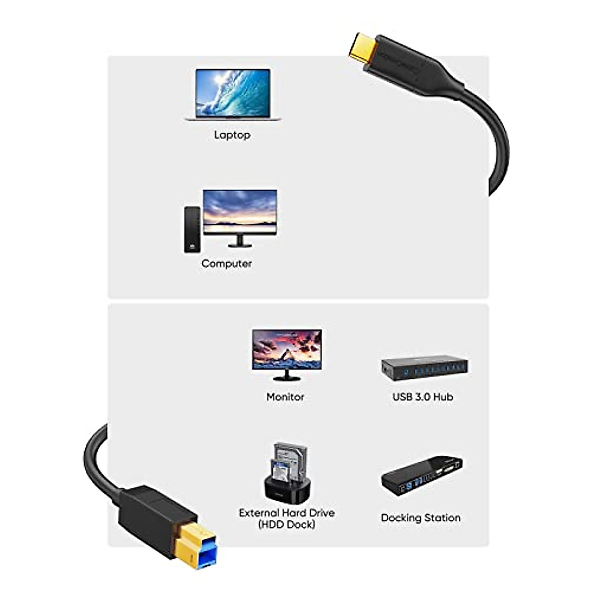 CableCreation USB 3.1 USB C to USB B Cable 4 FT Bundle USB 3.1 C to Micro B Hard Drive Cable 2FT
