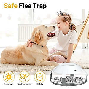 Rechargeable Flea Traps for Inside Your Home 2 Pack, Upgrade Indoor Electric Flea Trap with LED Light, Flea Insect Infestation Treatment Trap for Home and Garage W/8 Sticky 6.5” Disc Refills