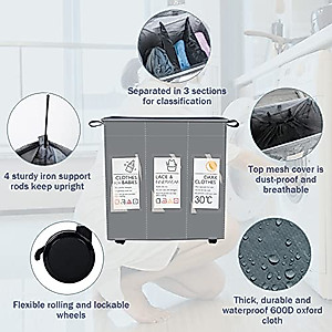 DEDU 120L Laundry Sorter 3 Section Heavy Duty, Extra Large Slim Laundry Hamper Rolling, Collapsible Laundry Basket with Wheels and 2 Leather Handles (Dark Gray)