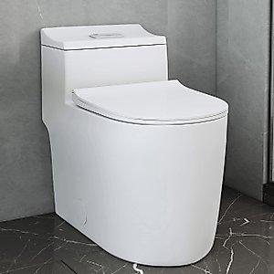WinZo WZ5080S Dual Flush One Piece Toilet With 10" Rough-in Elongated Comfortable Height, White