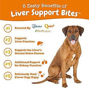 Cranberry for Dogs - UT Incontinence Support + Immune Health Dog Antioxidant + Liver & Kidney Support Supplement for Dogs - with Milk Thistle Extract