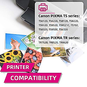Intactech Compatible Ink Cartridge Replacement for Canon CLI-281 XXL Cyan Ink Tank CLI-281 C Work with Pixma TS6120 TS8120 TR7520 TR8520 TS9120 TS6220 TS8220 TS9520 TS9521C TS702 Printers (1 PK)