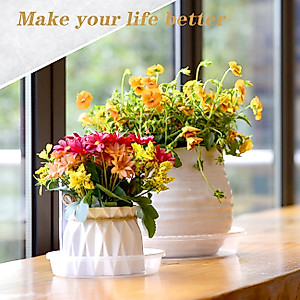 SupKing Plant Saucers 9 Packs of 6inch 8inch 10inch,Durable Clear Plastic Drip Tray Thicker Sturdier Plant Pot Saucers Stronger Flower Pot Tray for Indoors & Outdoors (3 Size)