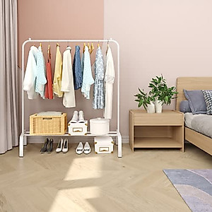 JIUYOTREE Metal Clothing Rack, 43.3 Inches Clothes Garment Coat Rack with Bottom Shelf for Hanging Skirts, Shirts, Sweaters, White