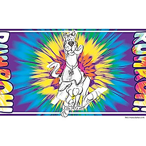 Tervis 1346137 Warner Brothers - Scooby-Doo Stainless Steel Insulated Tumbler with Clear and Black Hammer Lid, 20oz, Silver