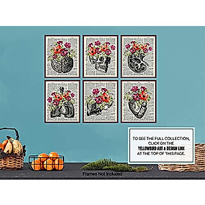 Heart, Skull, Brain, Lungs, Kidney, Liver Wall Art Decor - Human Anatomy Room Decorations - Medical Office Decor - Shabby Chic Gift for for Doctor, Nurse, Women, RN - Poster Picture Prints Set