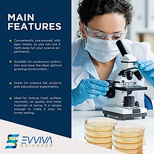 Evviva Sciences Potato Dextrose Agar Petri Dishes - Prepoured Potato Dextrose Agar (PDA) - for Mushrooms, Home Test Kit, or for Science Fair Projects, Petri Dishes with Agar