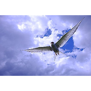 Fujinon XF18-135mmF3.5-5.6 R LM OIS WR