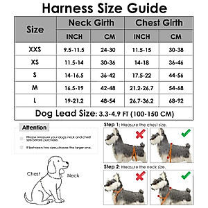 Lukovee Dog Harness and Leash Set, Soft Padded Small Dog Harness, Neck & Chest Adjustable Reflective Vest Puppy Harness with 4ft Lightweight Anti-Twist Dog Leash for Small Dogs (XX-Small, Purple)