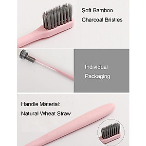 Sainal 12pcs/Pack Manual Toothbrushes Soft Bamboo Charcoal Bristles Wheat Straw Material Handle Portable with Individual Packaging