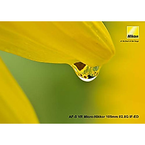 Nikon AF-S VR Micro-NIKKOR 105mm f/2.8G IF-ED Lens (Renewed)