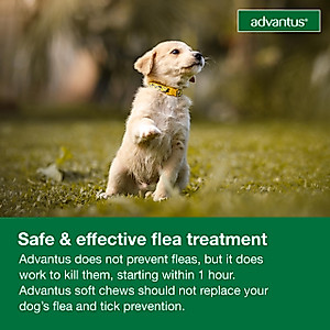 Advantus Dog Advantus Chewable Flea Treatment for Dogs 4 - 22 lbs. | 7 ct.