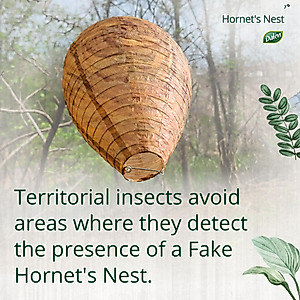 Dalen Hornet's Nest - Decoy Hive Helps Keep Wasps, Hornets, Yellow Jackets and Others Away - 11in, 3 Pack