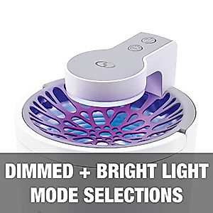 Sun Joe SJ-BZ15W-WHT UV Indoor Insect Fruit Fly Trap for Small Flying Insects, Non-Toxic UV Light, Non-Zapper, Bug Light w/10-Sticky Glue Traps Included, White