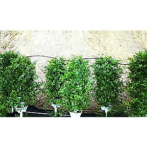 5-Tier Pink Strawberry and Herb Garden Planter - Stackable Gardening Pots with 10 Inch Saucer