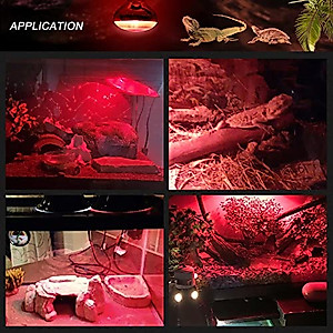 FIVEAGE Reptile Red Heat Lamp 100 Watt, Infrared Basking Spot Lamp, Lizard Heating Lamp for Bearded Dragon Tortoise Snake Chameleon Reptiles and Amphibian Use, 4 Packs