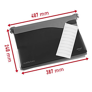 CRYSTAL FC SECUR SUSP FILE 30MM AST PK10