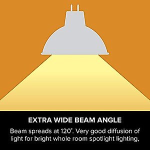 Pack of 10 - 10 Watt 6V JC G4 Base Halogen Lamp 10W Bi-Pin Light Bulbs 6 Volt JC Laboratory Optical Microscope Lab Equipment Scope Camera Flashlight Clinic Medical Dentistry Video Lighting Replacement