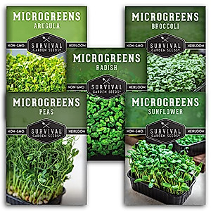 Survival Garden Seeds Microgreens 5 Pack - Instructions to Plant, Sprout, and Grow a Mix of Microgreen Plants in Your Kitchen or on Your Windowsill - Arugula, Broccoli, Radish, Pea, Sunflower Seed